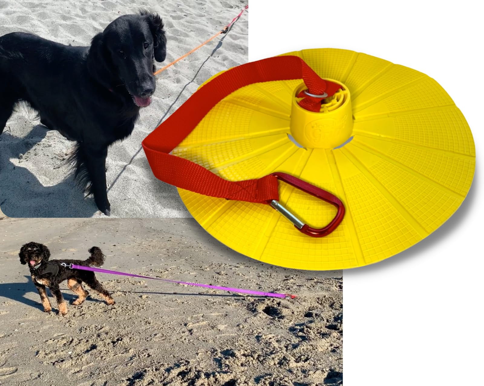 BeachGrip - Dog Beach Anchor - Dog Beach Tie Out - Specially Designed ...