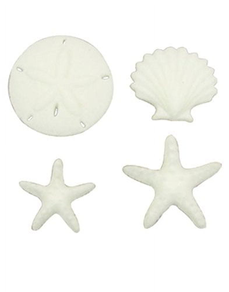 Beachcomber Asst. Sea Shell Sand Dollar Star Fish Decorations Sugar ...