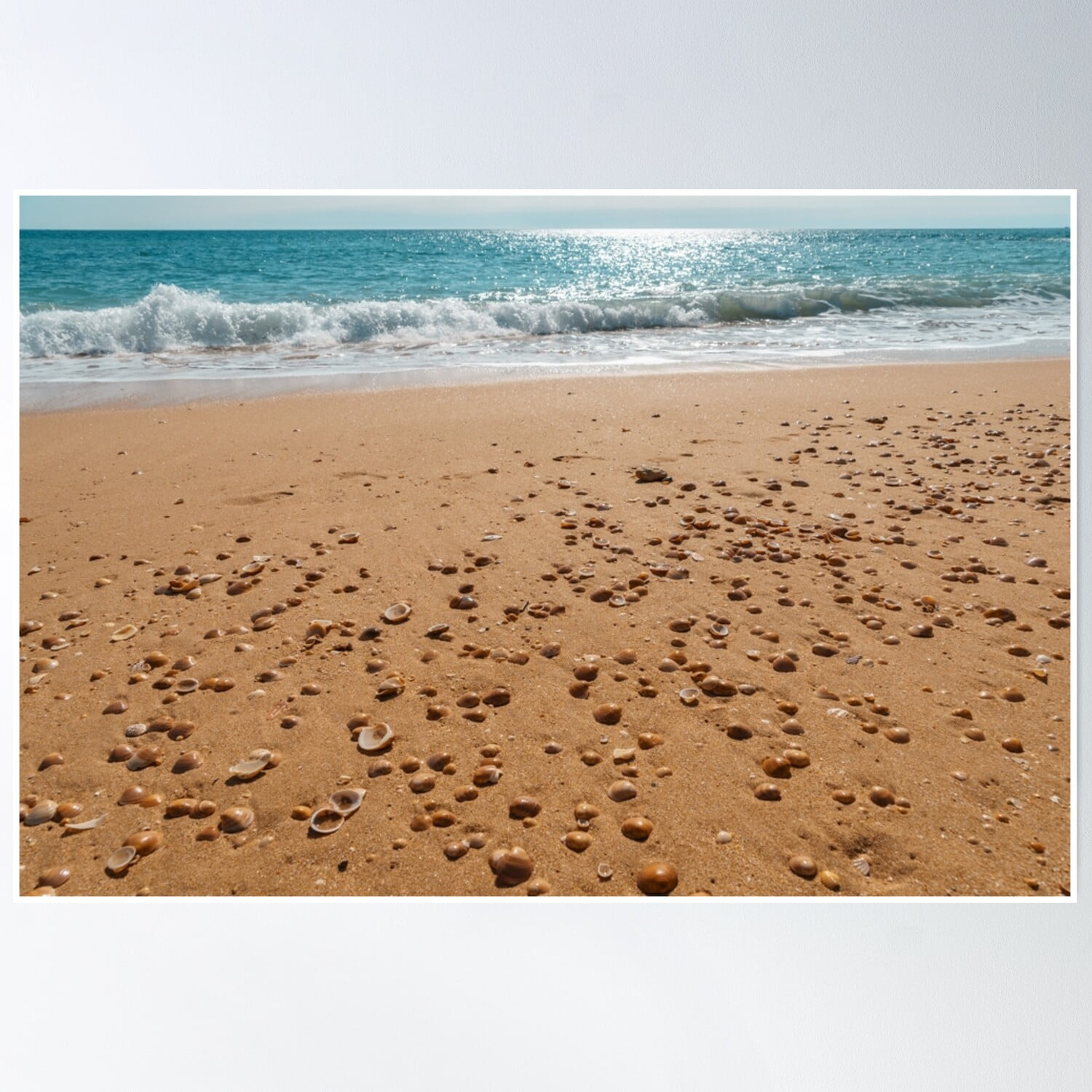 Beachcombers Treasures Poster Wall Art, Modern Wall Decor, 8x12 ...