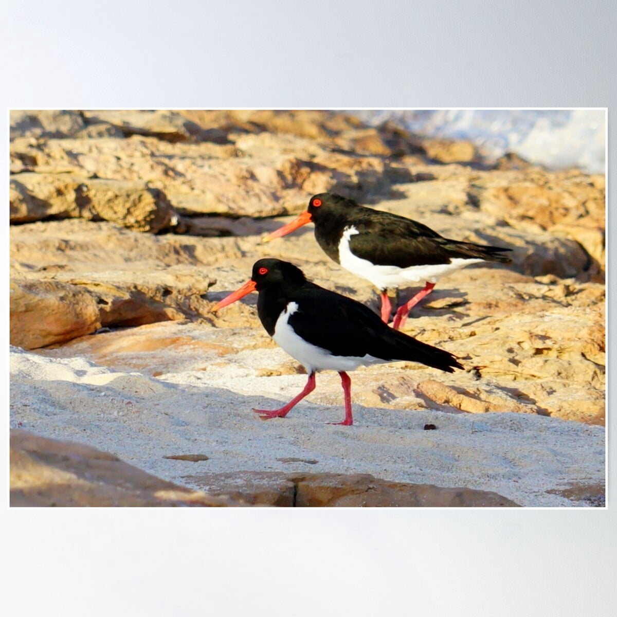 Beachcombing Poster Wall Art, Modern Wall Decor For Living Room Bedroom ...