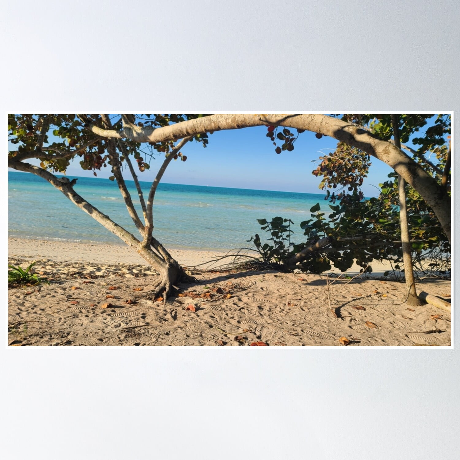 Beachfront Basecamp' Poster Wall Art, Modern Wall Decor, 16x24 UNFRAMED ...