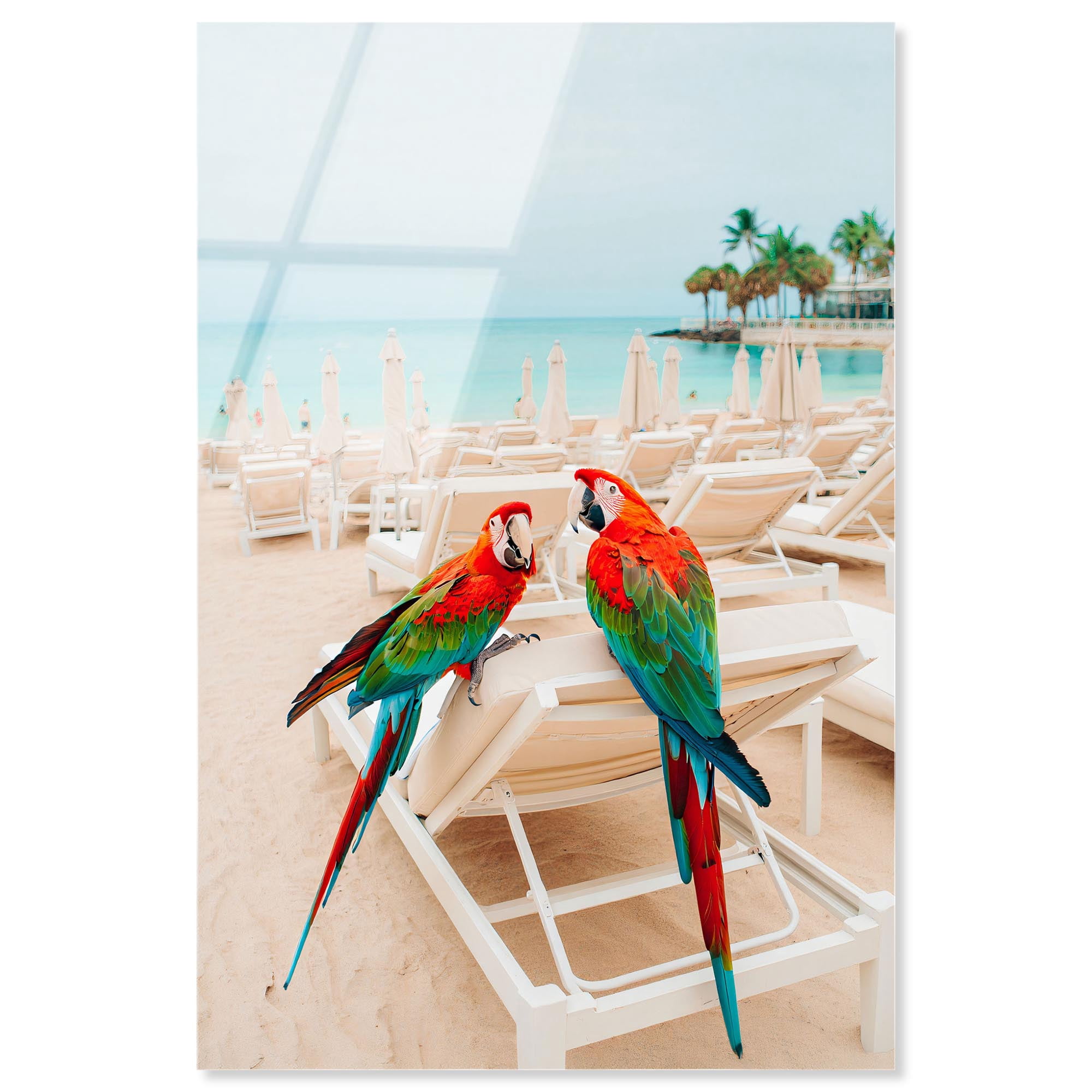 Beachside Parrot Pair Acrylic Print Coastal Art Prints by Notoriart ...