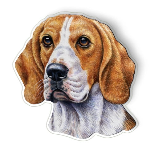 Beagle Dog - 5.5" Magnet for Car Locker Refrigerator - Walmart.com