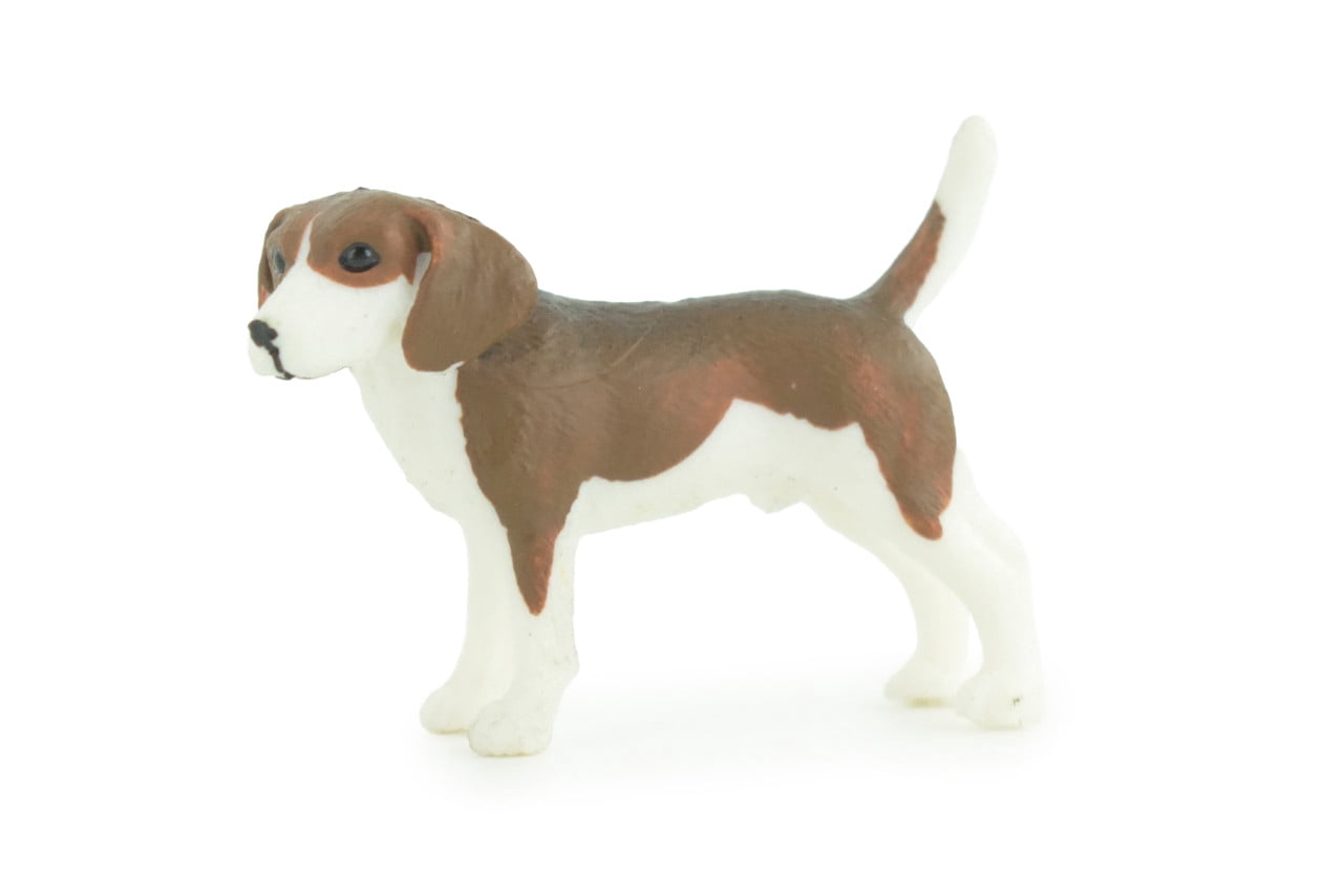 Beagle Dog, Hand Painted, Educational, Museum Quality, Rubber Canine ...