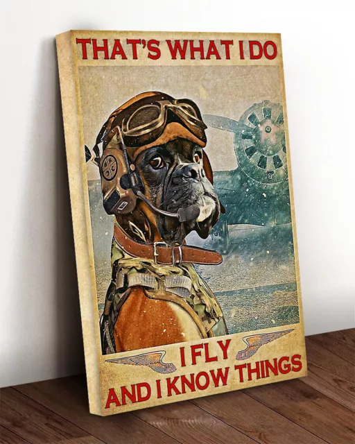 Beagle Dog Pilot That What I Do I Fly And I Know Things Aircraft ...