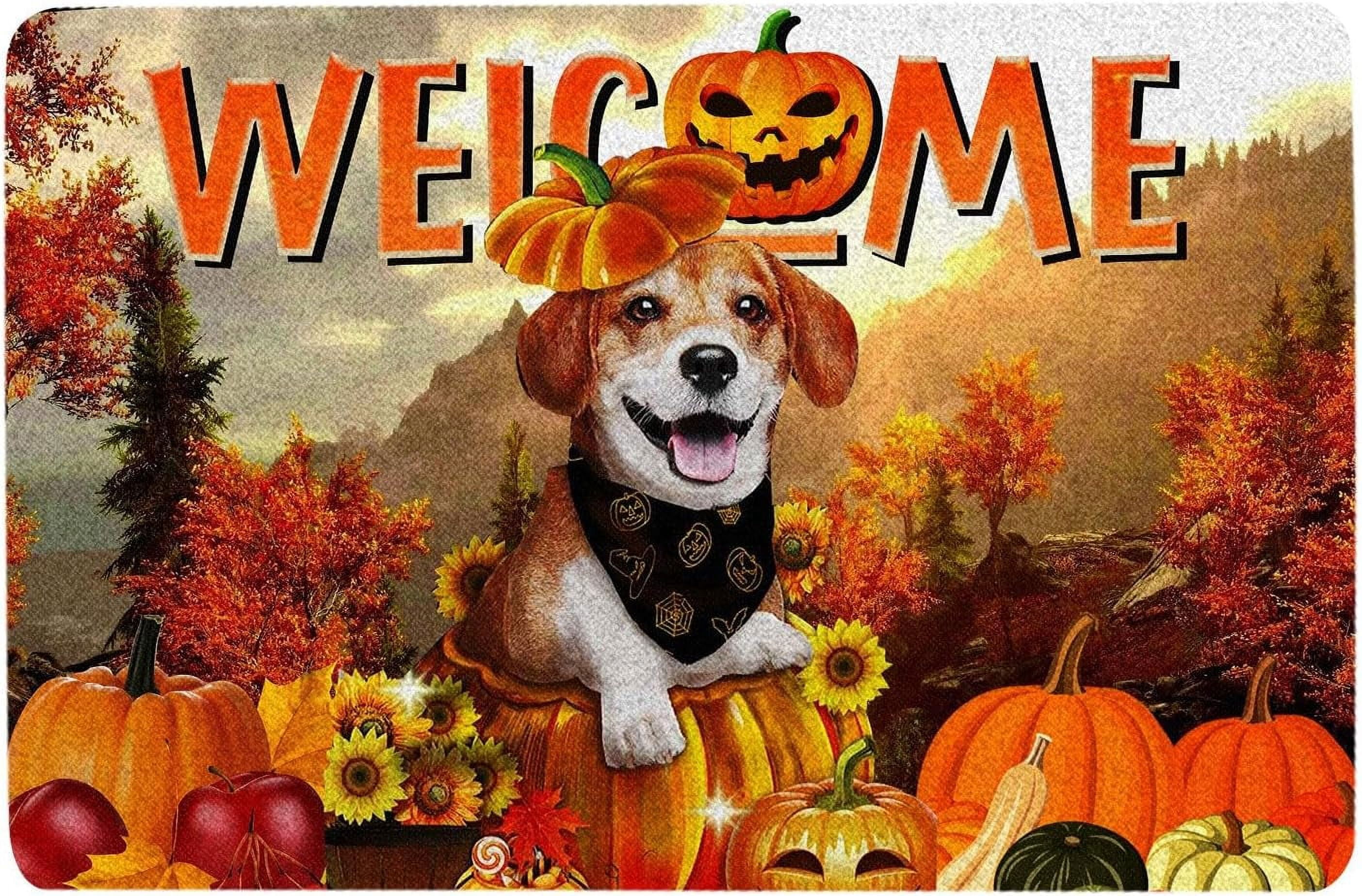 Beagle Door Mat Beagle Dog Pumpkin Thanksgiving Day Autumn Happy Fall Y ...