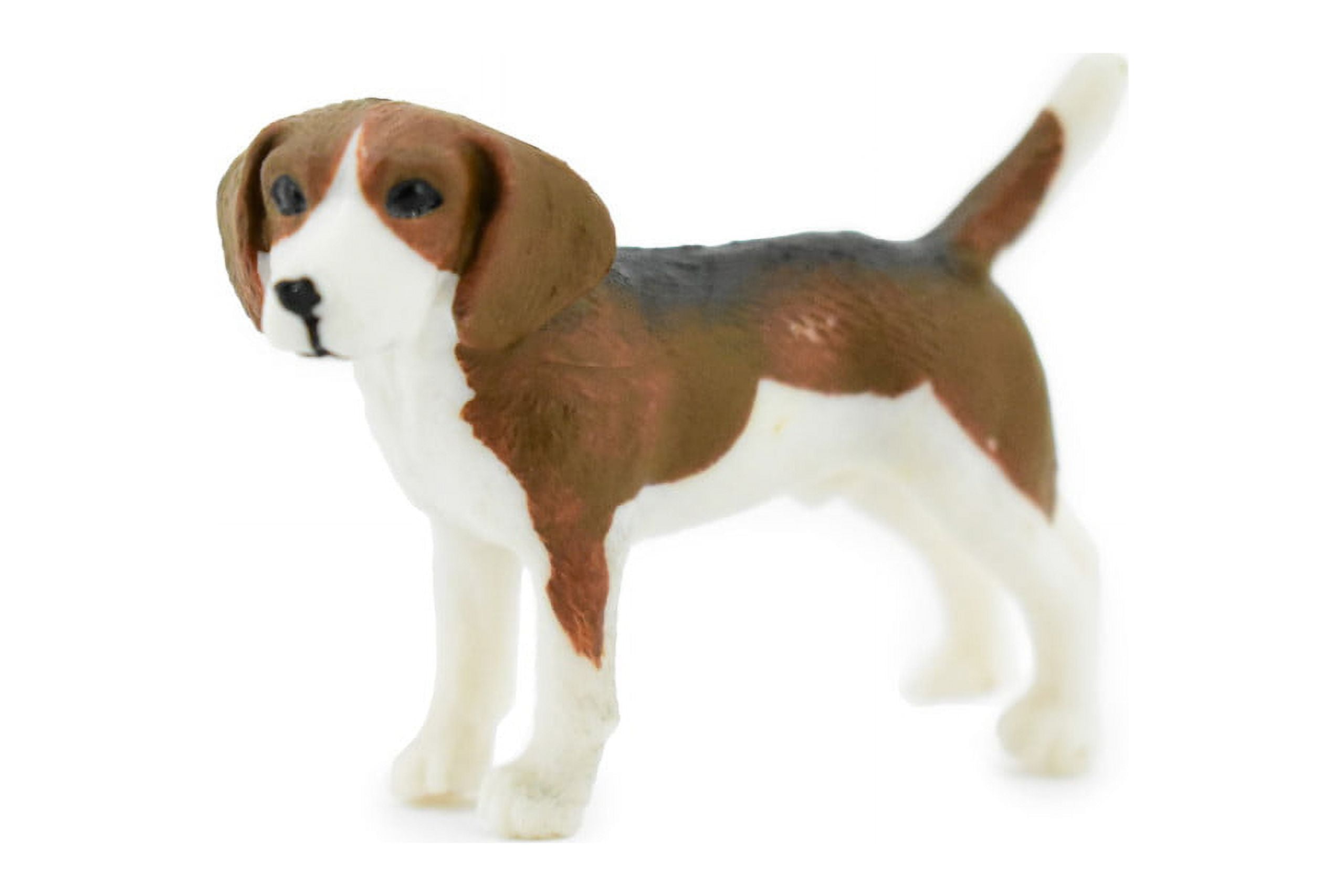 Beagle, Hound Dog, Rubber Canine, Hand Painted, Realistic Toy Figure ...