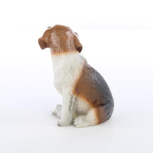 Miniature Beagle