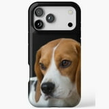 Beagle On The Black Cute Dog Breed Phone Cover for iPhone 11 12 13 14 ...