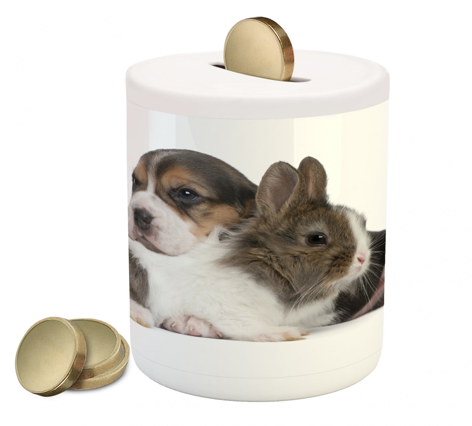 Beagle Piggy Bank, Pets Rabbit and Puppy Animal Kingdom Friendship Best ...