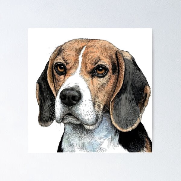Beagle Poster Wall Art, Modern Wall Decor For Living Room Bedroom ...