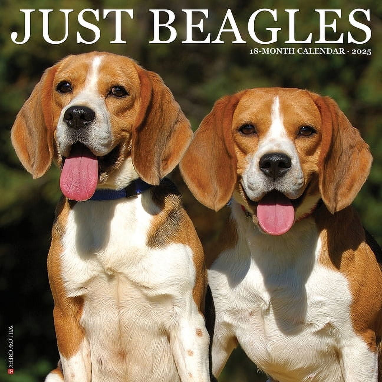 Beagles 2026 12 X 12 Wall Calendar, (Hardcover) - Walmart.com