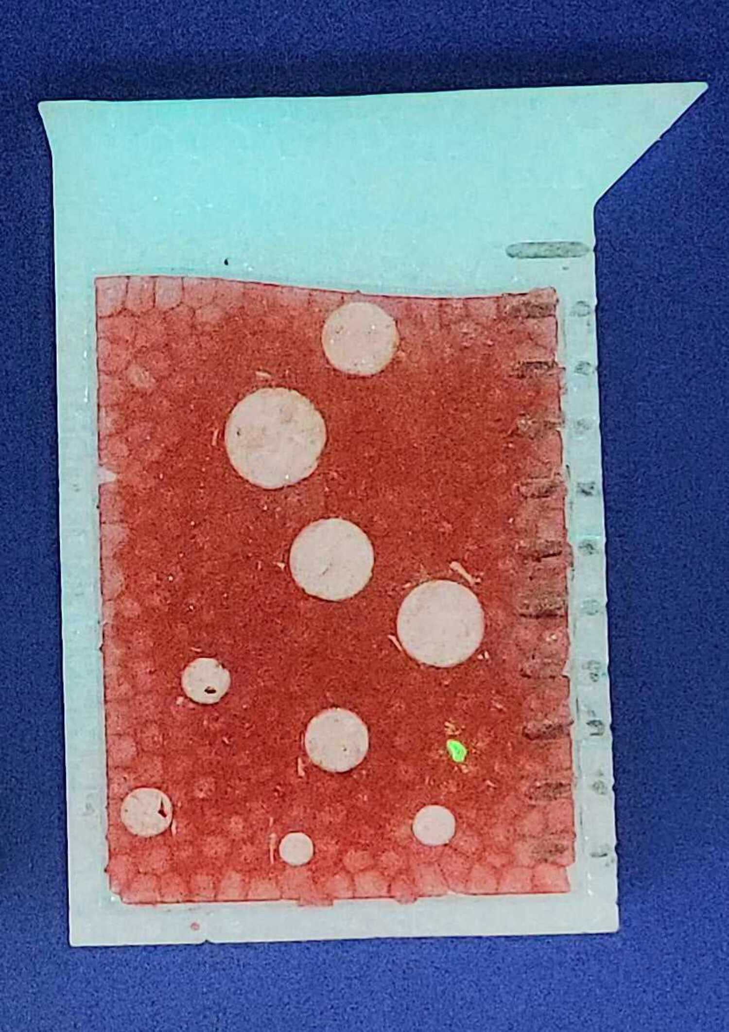 Beaker Silicone Freshie Mold - Walmart.com