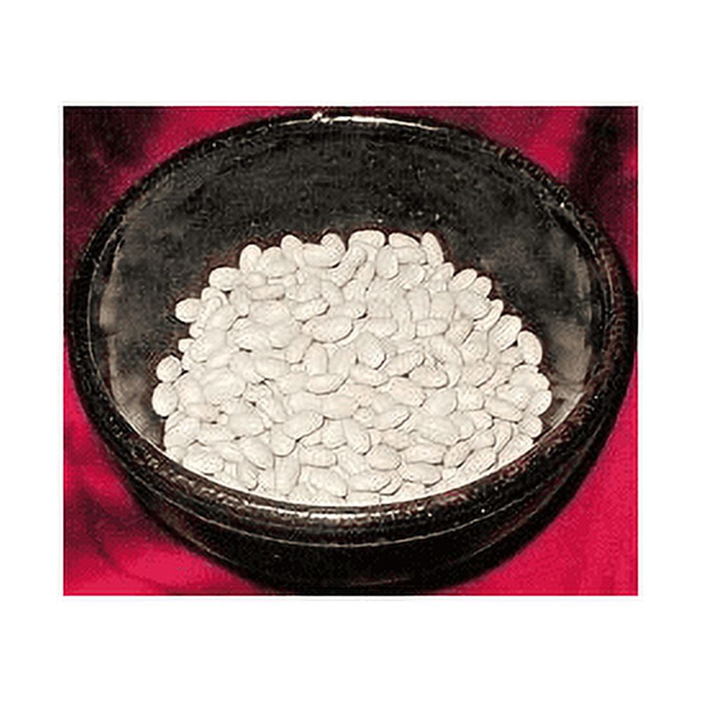 Bean Navy Great Heirloom Garden Vegetable by Seed Kingdom Bulk 5 Lb ...