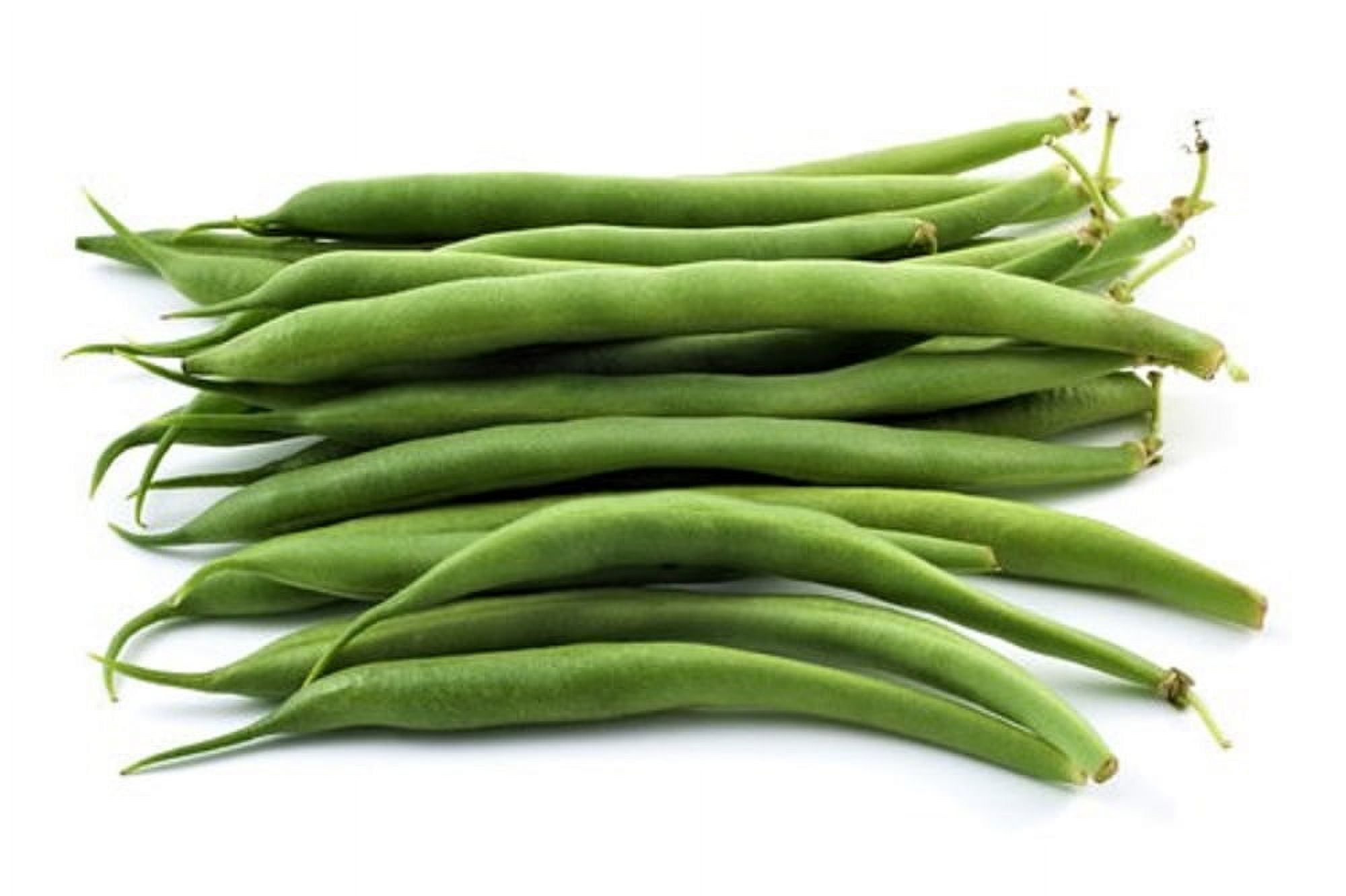 Bean Seeds, Slenderette Bush Bean Seeds, Non GMO, 100+ Seeds, Great ...