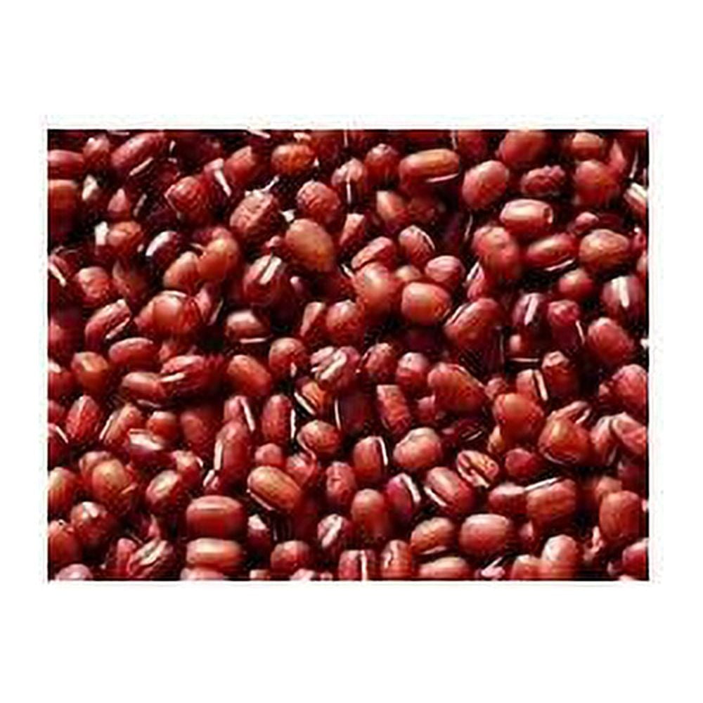 Bean Small Red Great Heirloom Garden Vegetable By Seed Kingdom 35 Seeds ...