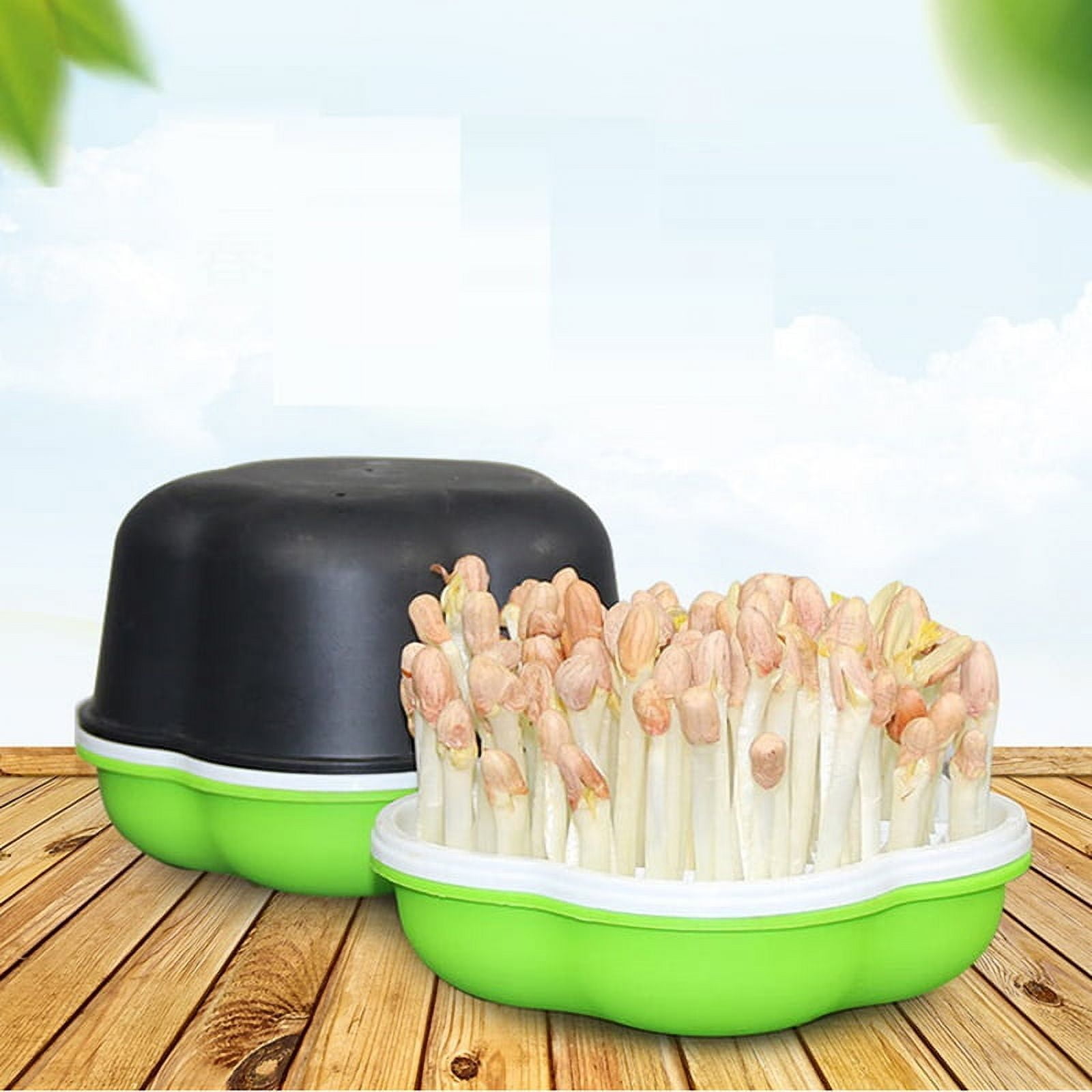 Bean Sprout Germination Pot Soilless Hydroponic Germination Pot Wheat ...