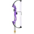 Bear Archery Brave Youth Bow Includes Whisker Biscuit, Arrows, Armguard ...