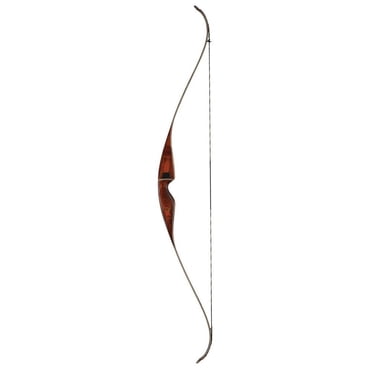 Bear Archery Apprentice Bow Set - Walmart.com