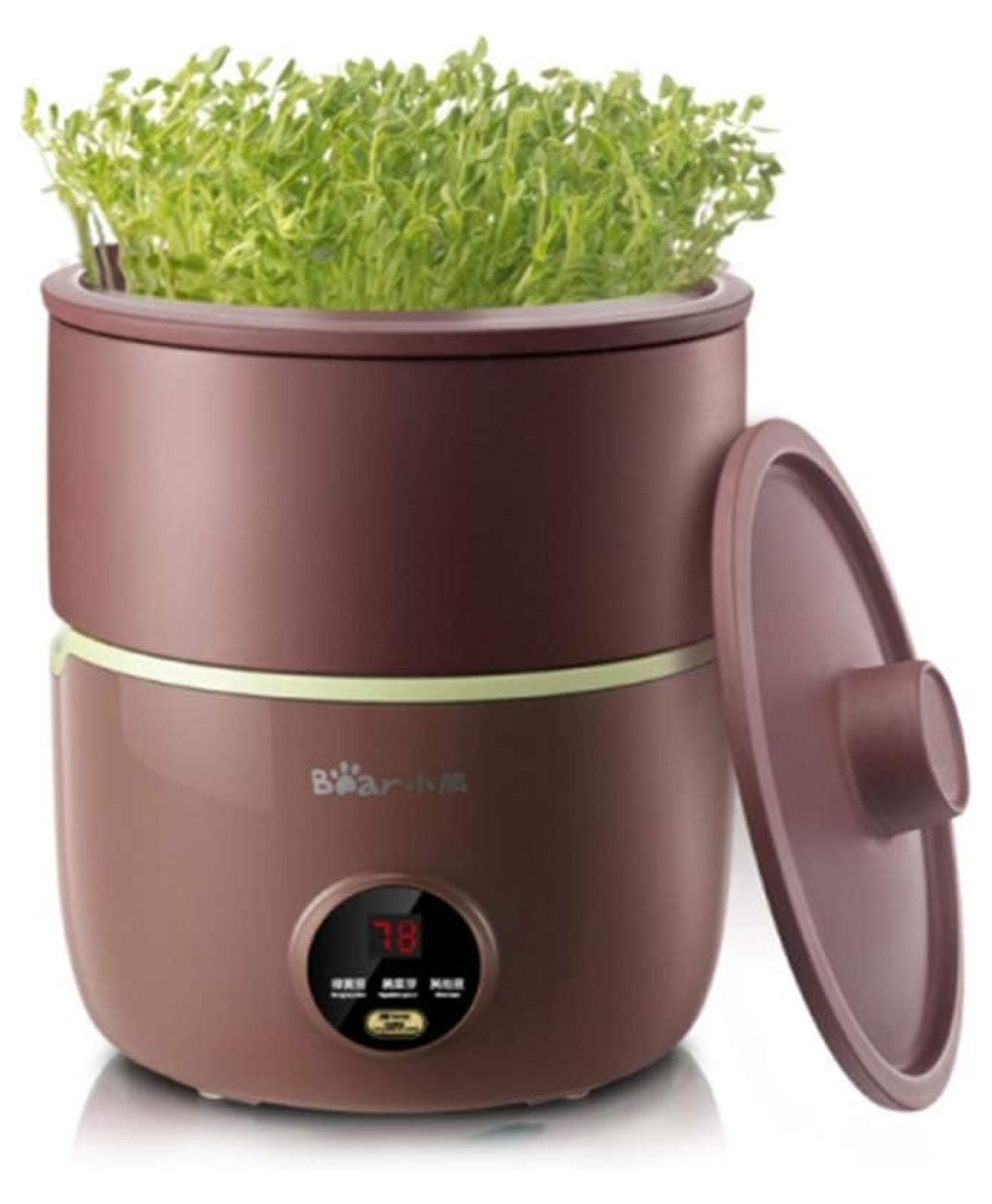 Bear Bean Sprouts Machine, Automatic Bean Sprouts Maker, Clay Seed Sprouting Kit with ...