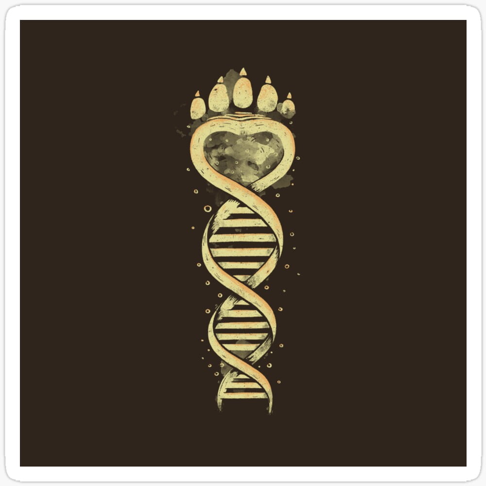 Bear Dna Sticker Phone Decal Water Bottle Stickers Car Decals, Laptop ...