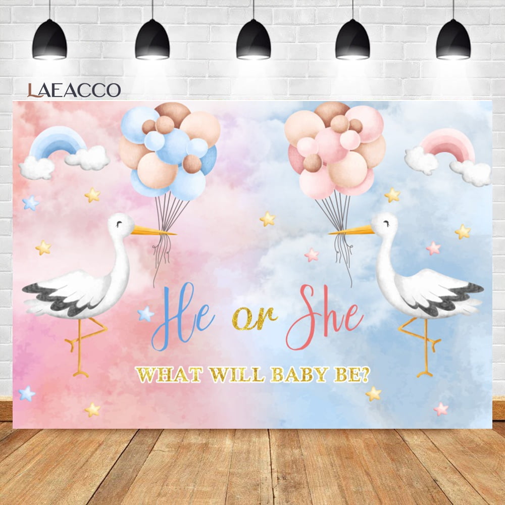 Bear Gender Reveal Backdrop Boy or Girl Pink Blue Balloon Floral Rose ...