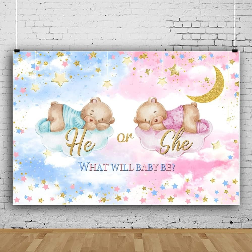 Bear Gender Reveal Cute Backdrop He or She Gender Reveal Photography ...