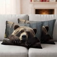 Bear Pillow Covers 2 Pack Animal Wood Fence Forest Farmhouse Pillowcase ...