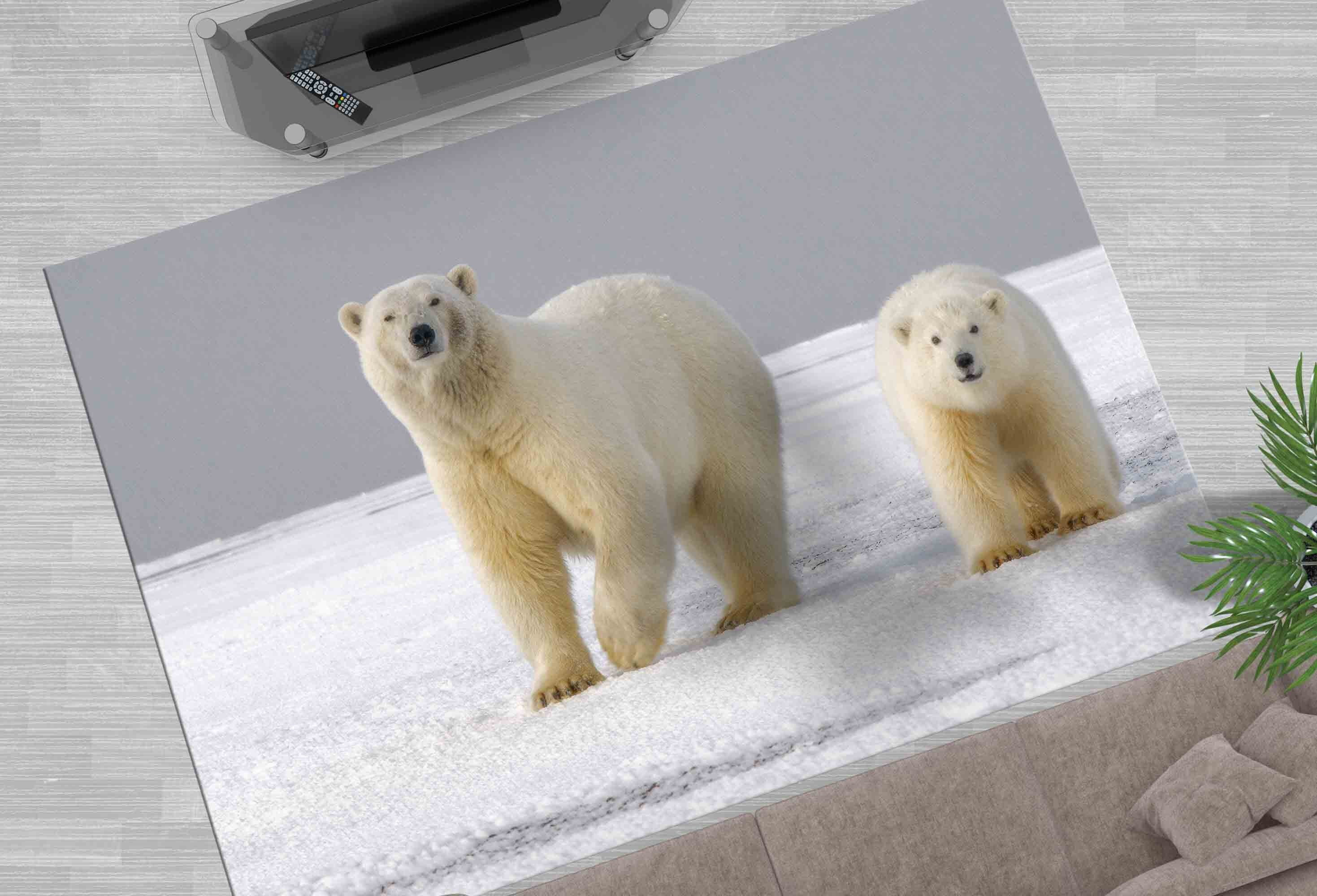 Bear Rugs, Animal Rugs, Office Rugs, Bear Rug, Polar Bear Rugs, Office ...