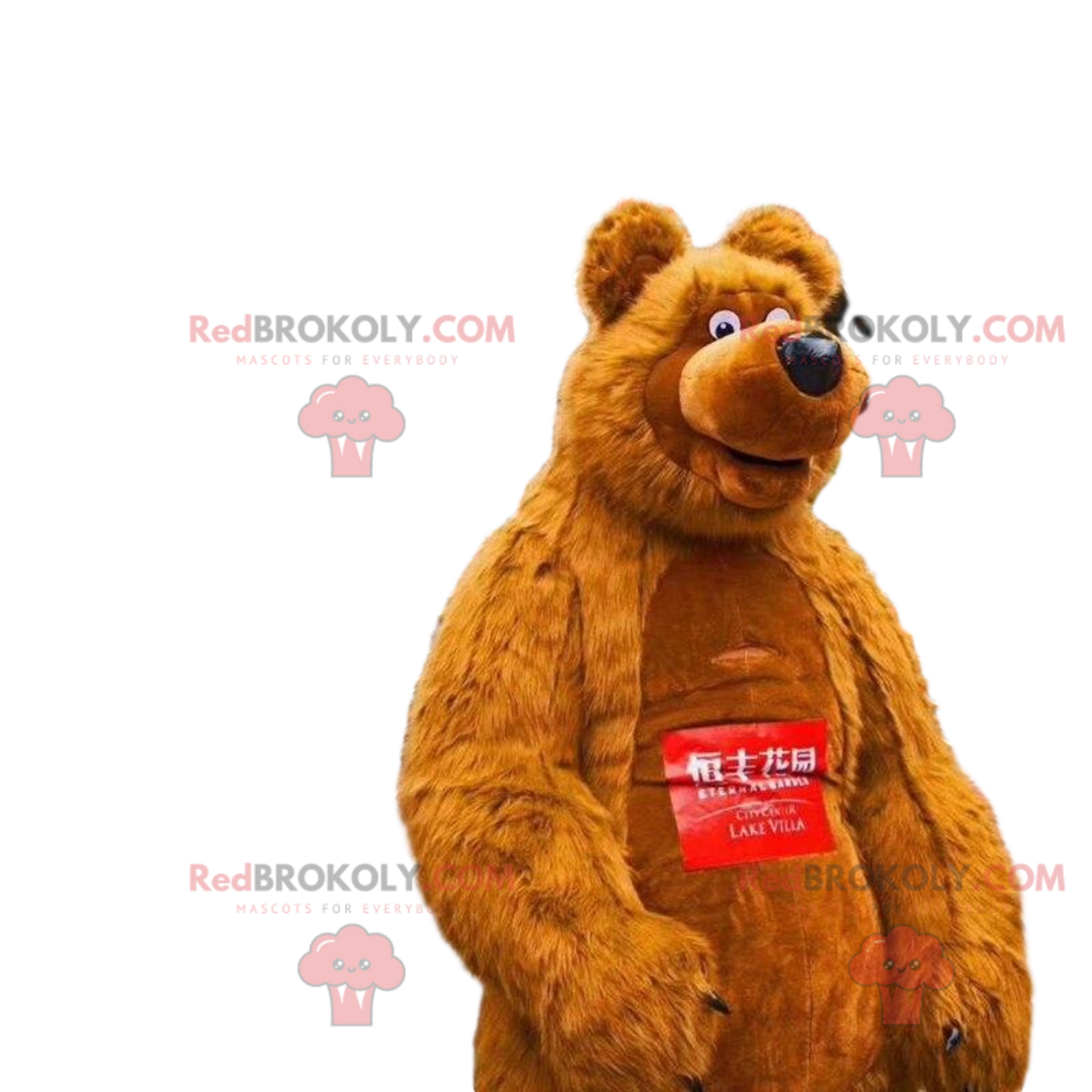 Bear mascot, famous bear from the cartoon Masha and the Bear - Walmart.com