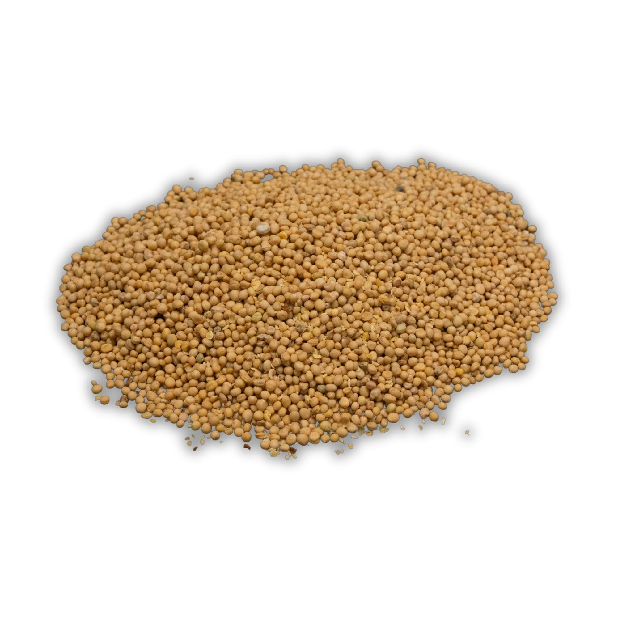 Bearded Butchers Dried Whole Mustard Seed 1.5oz – Premium Seasoning for ...