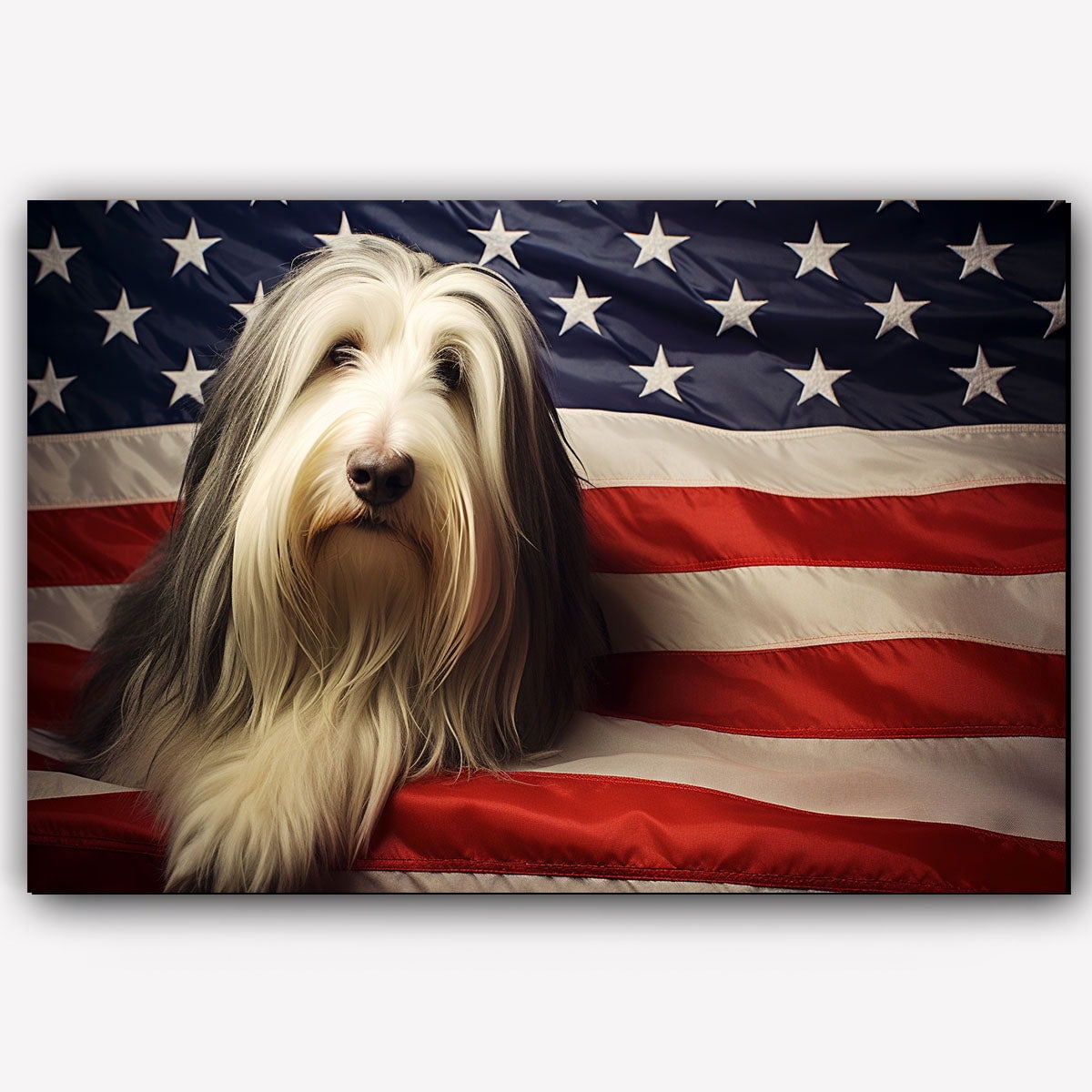 Bearded Collie Dog with American Flag Canvas Wall Art Dog Pictures for ...