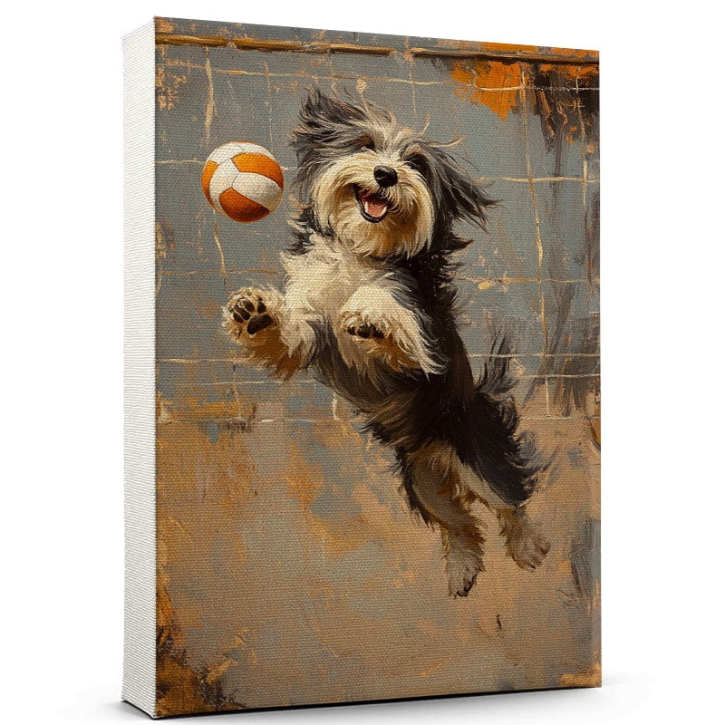 Bearded Collie Dog Stretched Canvas Size 8x12 Volleyball Canvas – Funny ...