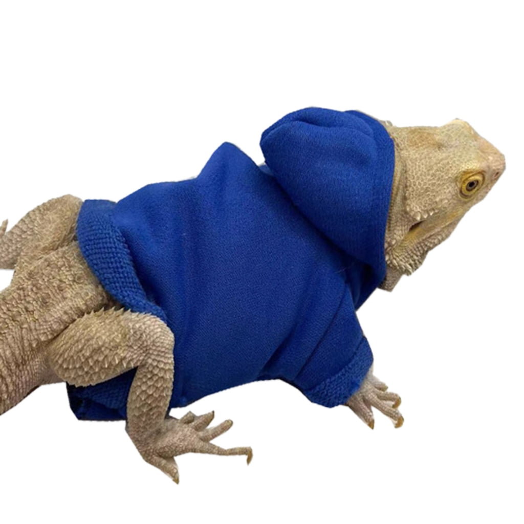 Bearded Dragon Clothes Costume Accessories Apparel Clothing Hand-made Warm Coat Hoodies Jackets ...