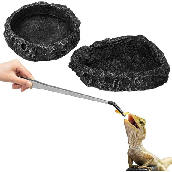 Bearded Dragon Food Bowl Set Reptile Snake Feeding Accessories ...