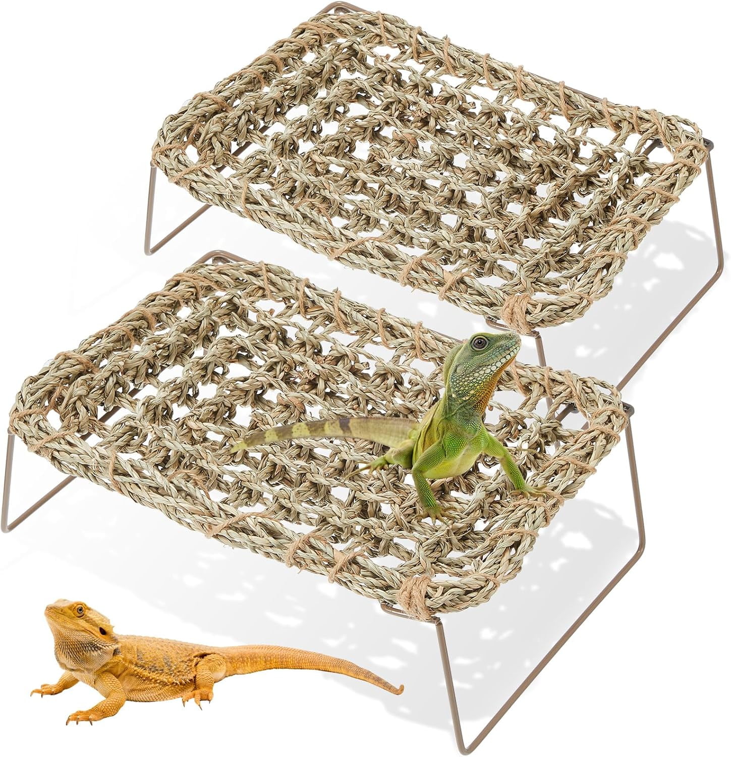 Bearded Dragon Hammock - Reptile Bed Tank Accessories with Collapsible ...