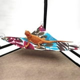 Bearded Dragon Hammock Reptile Lounger Ladder Bearded Dragon Terrarium ...