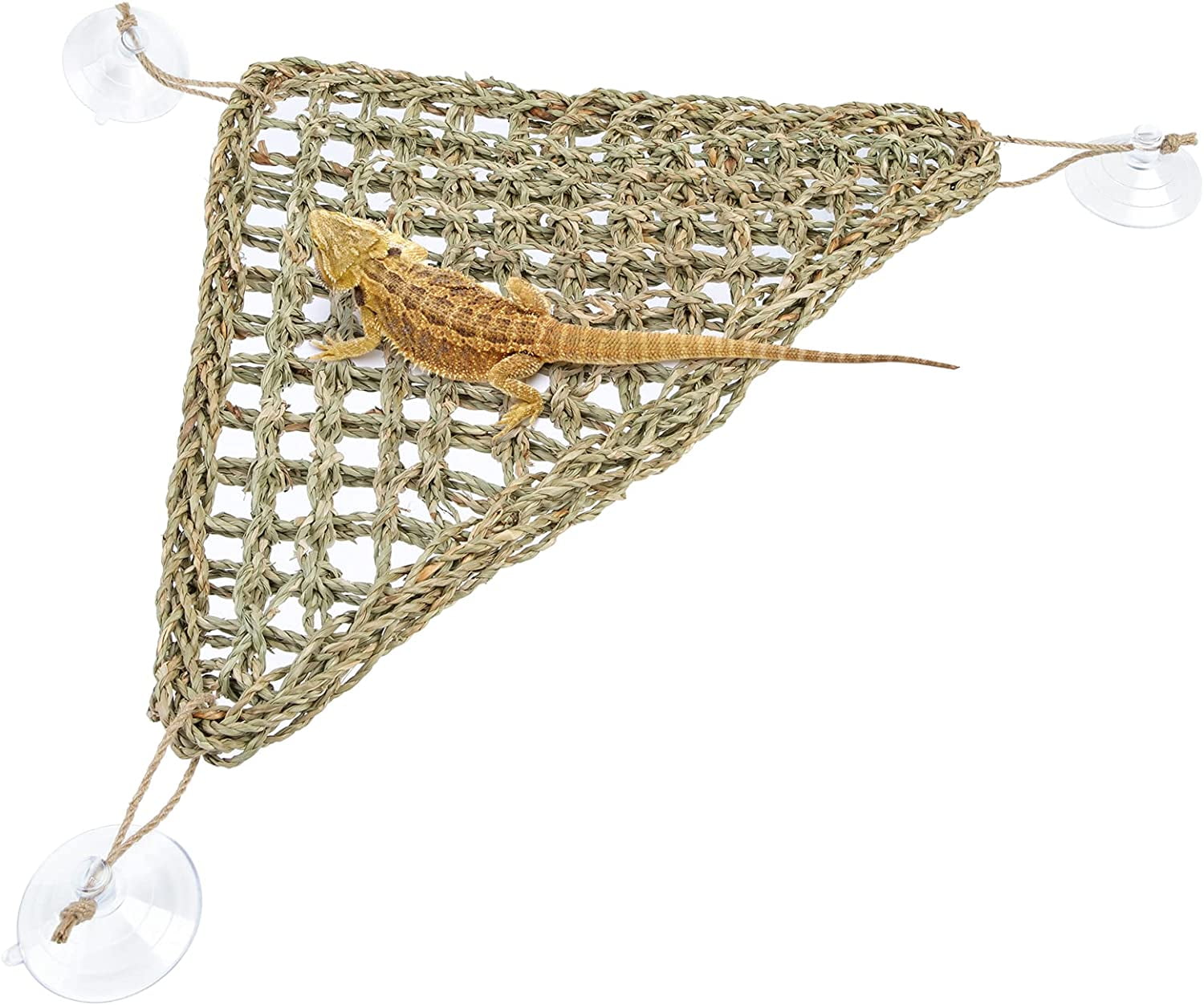 Bearded Dragon Hammock Reptile Lounger for Chameleon, Lizards, Gecko ...