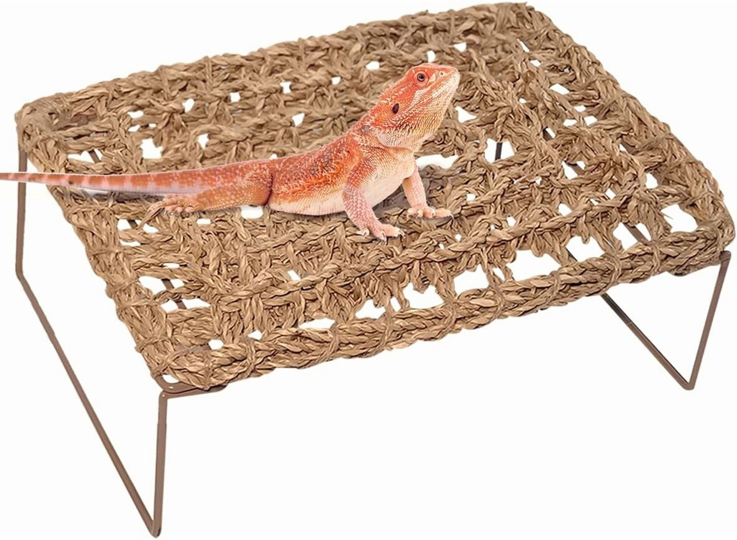 Bearded Dragon Hammock, Reptile Tank Accessories Decor, Basking ...