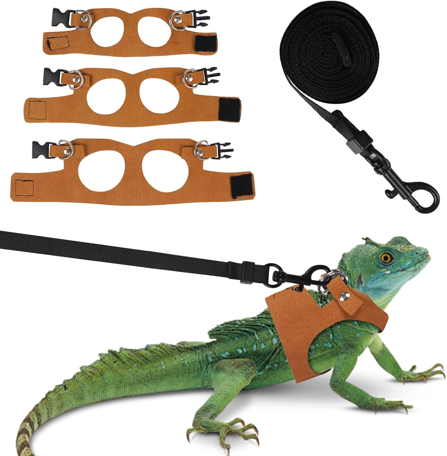 Bearded Dragon Harness Leash Set 3 Size Adjustable Lizards Training ...