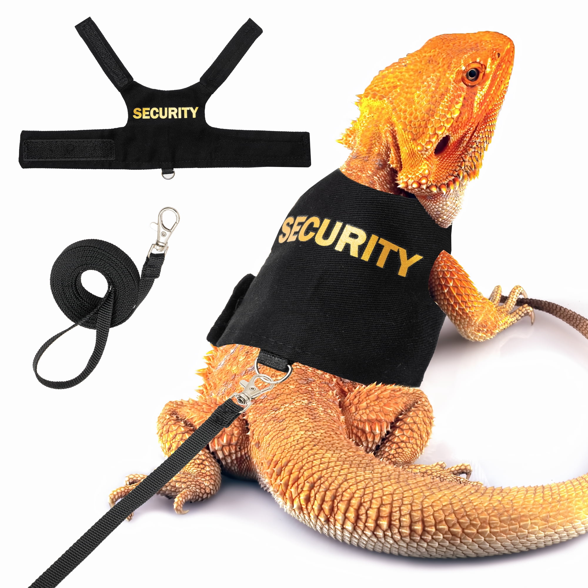Bearded Dragon Harness and Leash Set - Escape Proof Adjustable Lizard ...