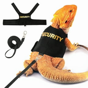 Cheers.US Adjustable Reptile Lizard Turtle Harness Leash Multi Color ...
