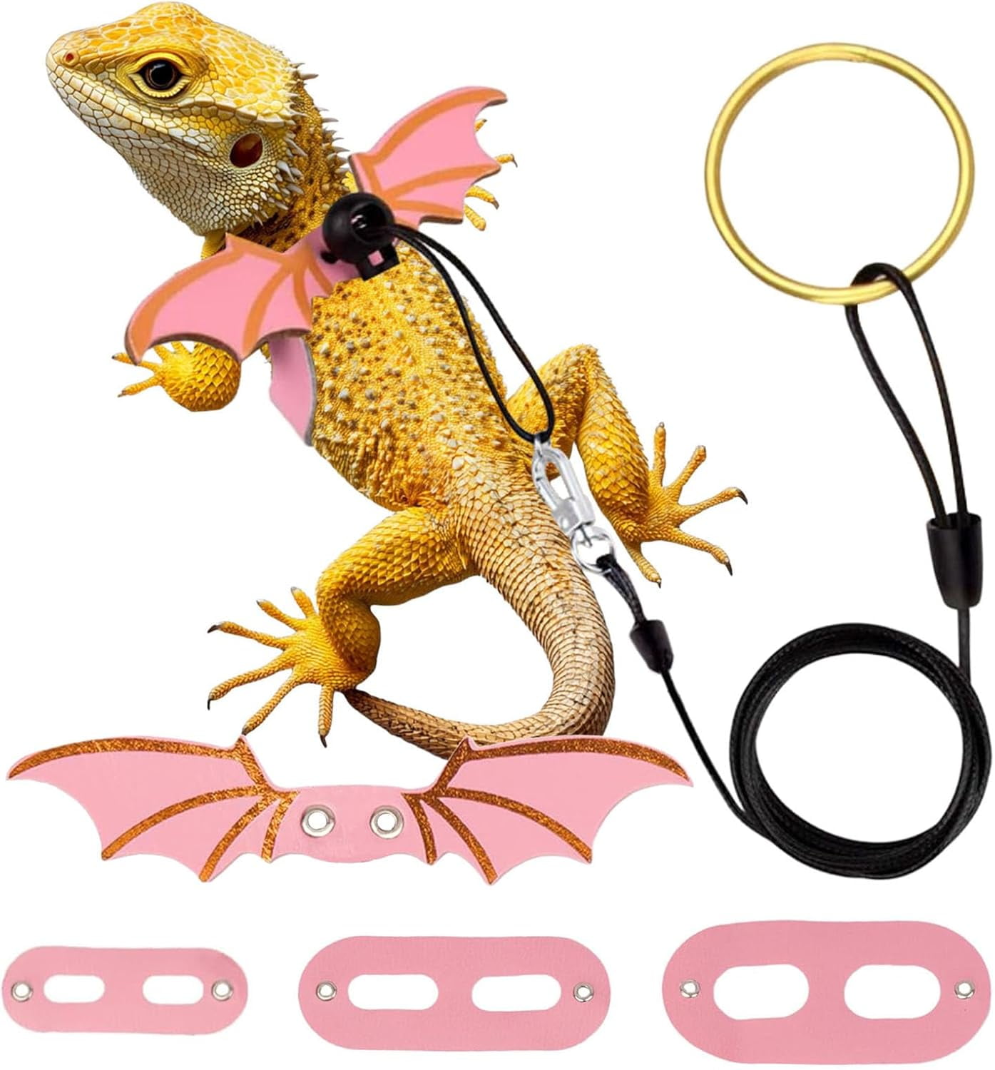 Bearded Dragon Harness and Leash Set with Wing Design - 3 Sizes ...