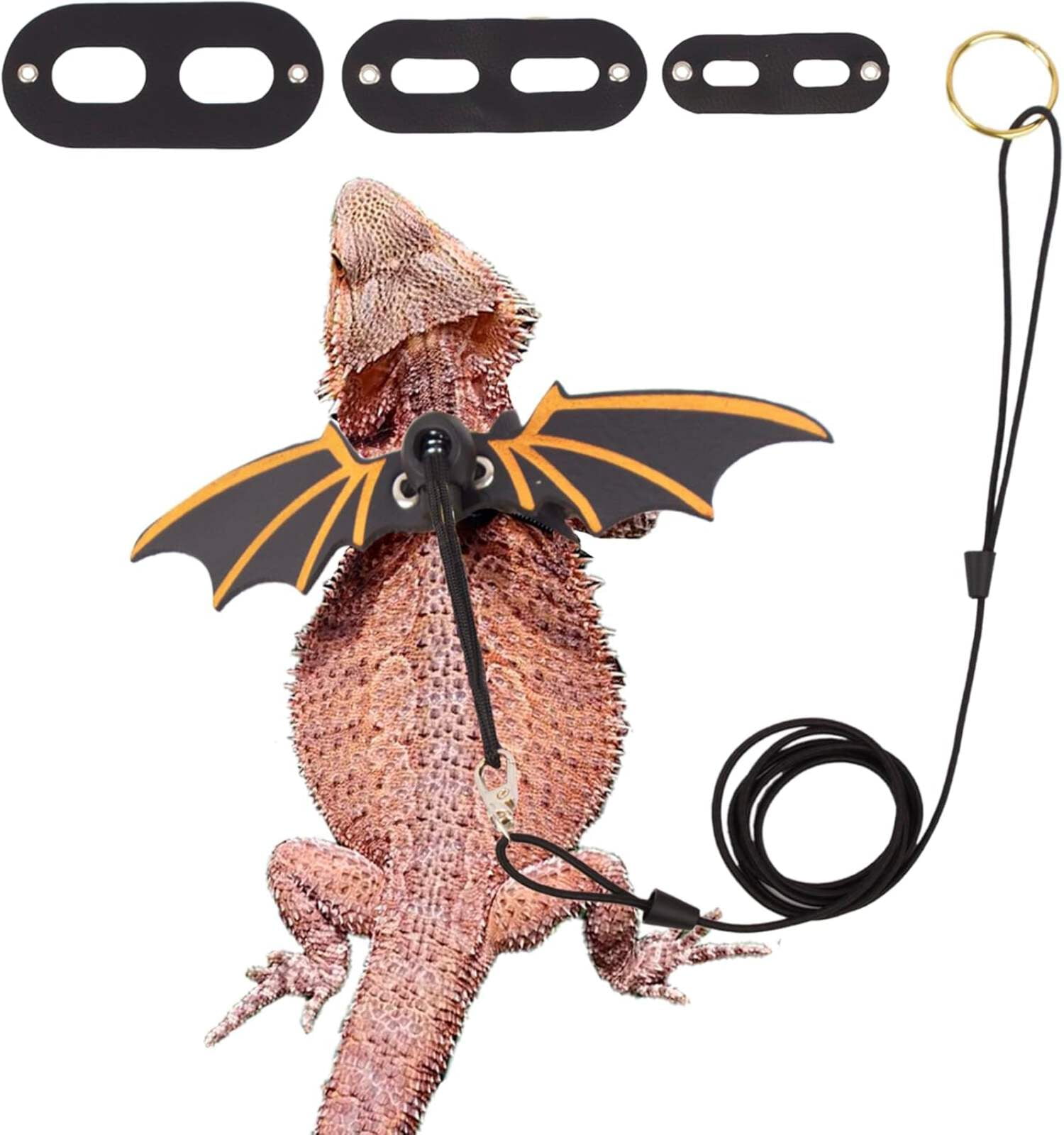 Bearded Dragon Leash Harness, 3 Size Pack Black Lizard Wing Harness ...