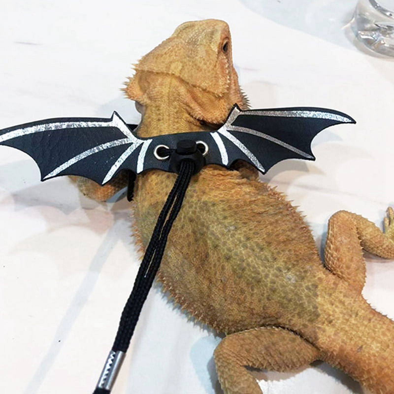 Bearded Dragon Lizard Leash Harness - 3 Size Pack Dinosaur Wing Lizard ...