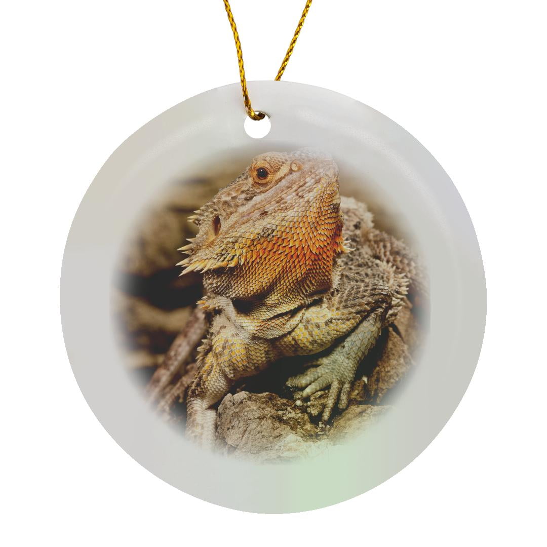 3drose, Bearded Dragon, Lizard Native to Australia - Na02 Dno0787 ...