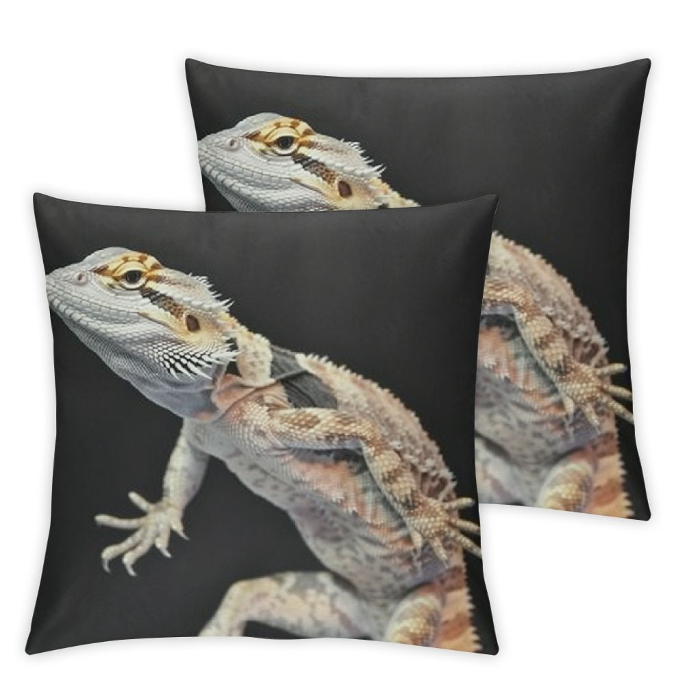 Bearded Dragon Lizards Breathable Sofa Throw Pillow Covers Square Cases ...