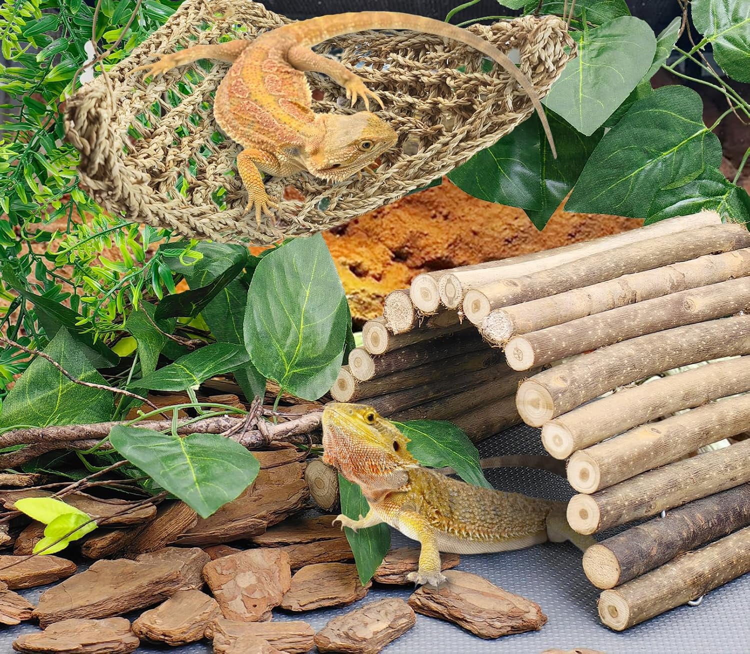 Bearded Dragon Tank Accessories Kit, Reptile Hide Wooden Bridge ...
