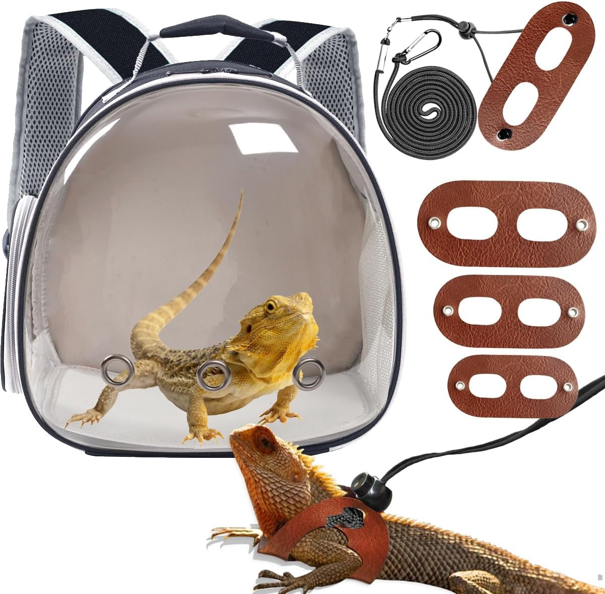 Bearded Dragon Travel Backpack with Harness and Leash Set,Lizard ...