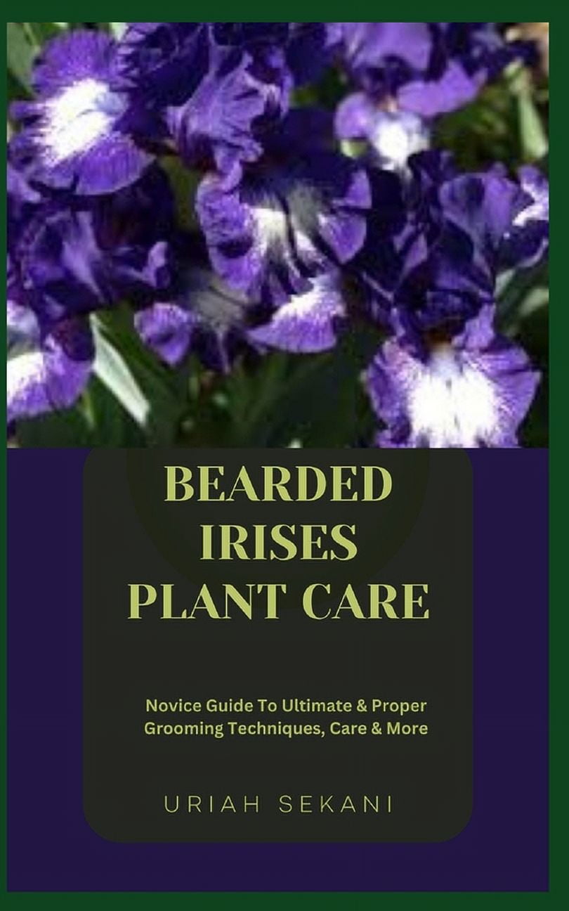 Bearded Irises Plant Care: Novice Guide To Ultimate & Proper Grooming Techniques, Care & More ...